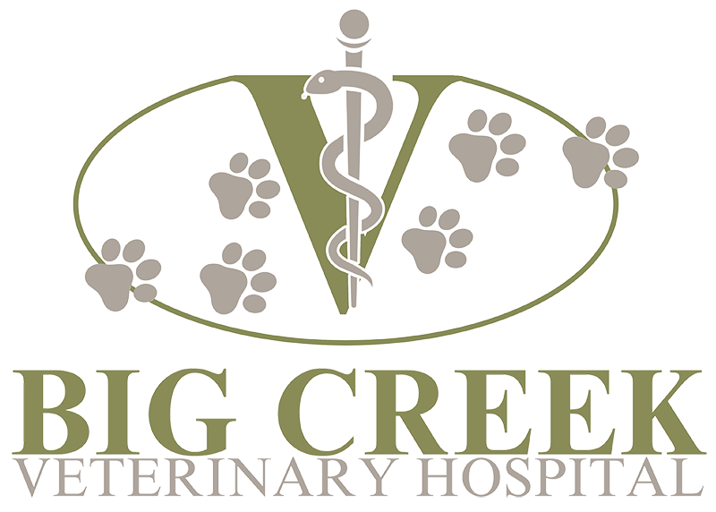 Accessibility Statement | Big Creek Veterinary Hospital
